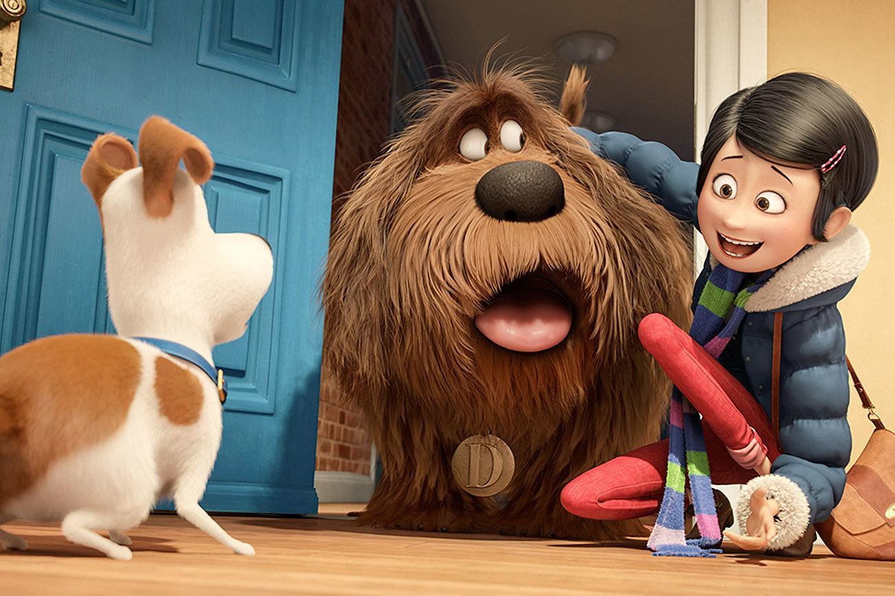 ‘Pets’ have a lot of secrets in this enjoyable kids film | HeraldNet.com