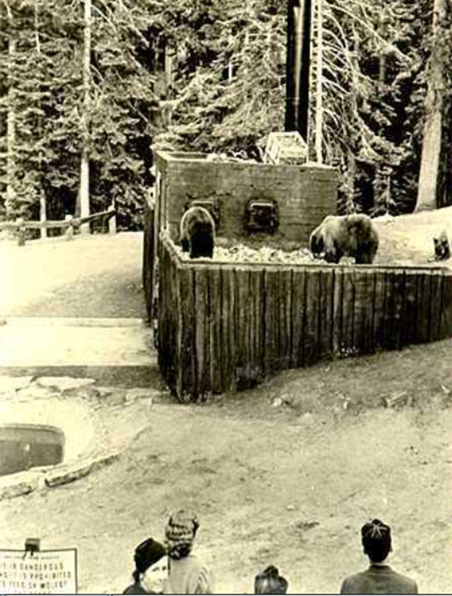 ‘Don’t feed the bears’ wasn’t always the prevailing wisdom | HeraldNet.com