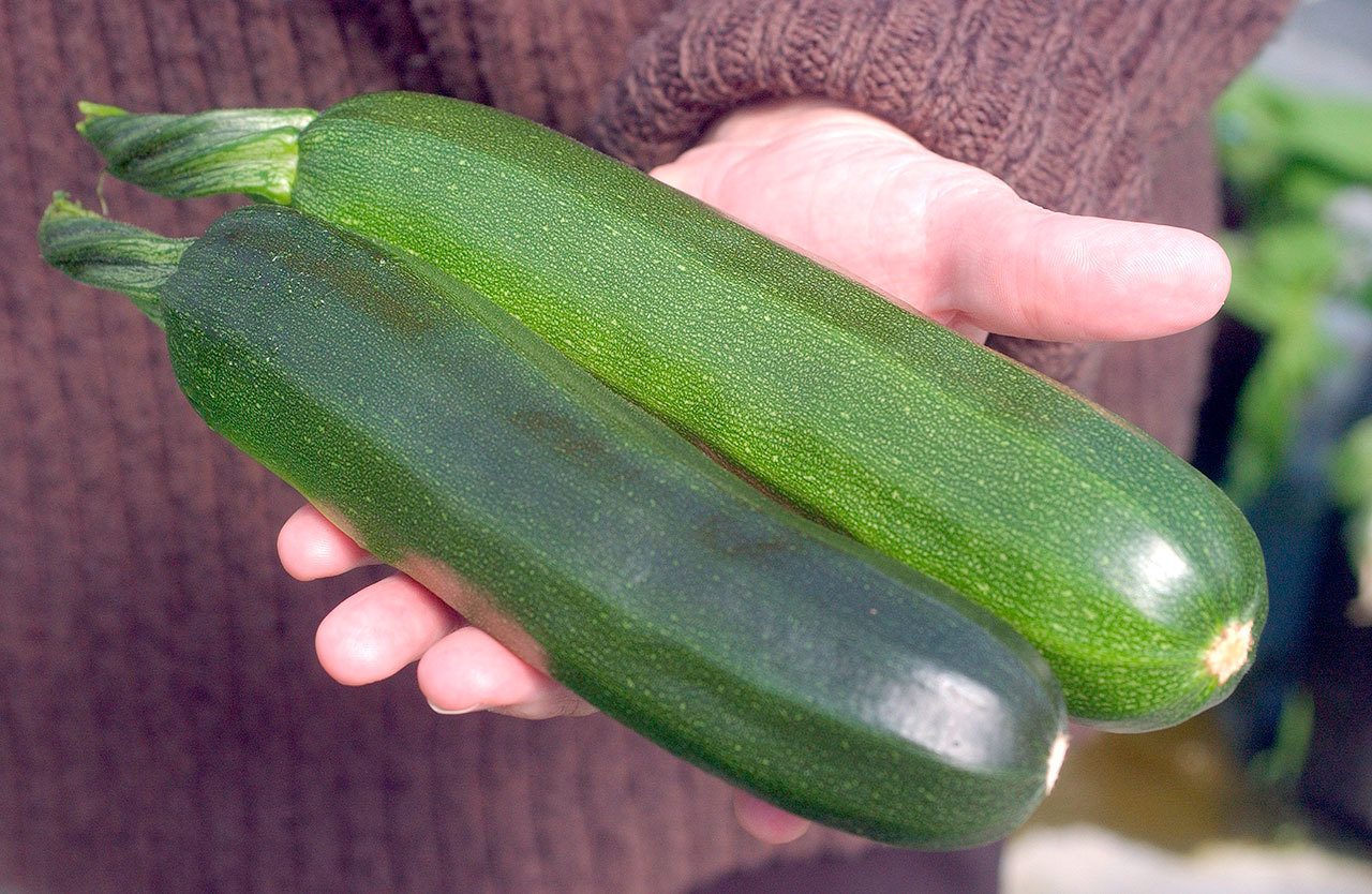 If somebody gave you a mess of zucchini, all is not lost | HeraldNet.com