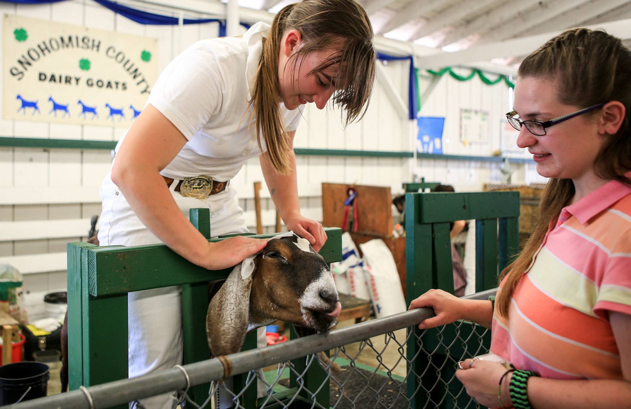 Animals steal the show on the Evergreen State Fair’s first day ...