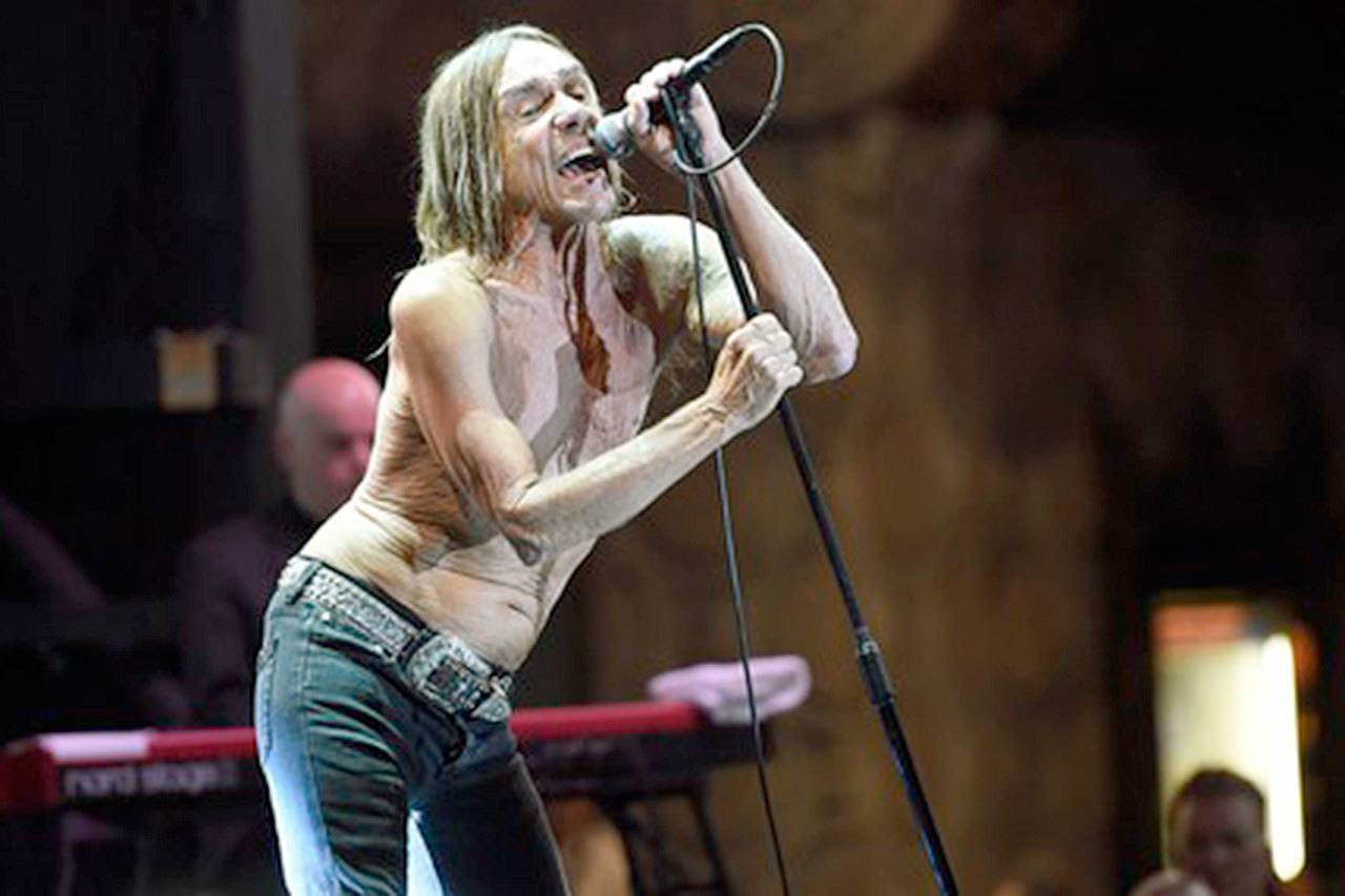 Profile of Iggy Pop, Stooges band simply rocks | HeraldNet.com