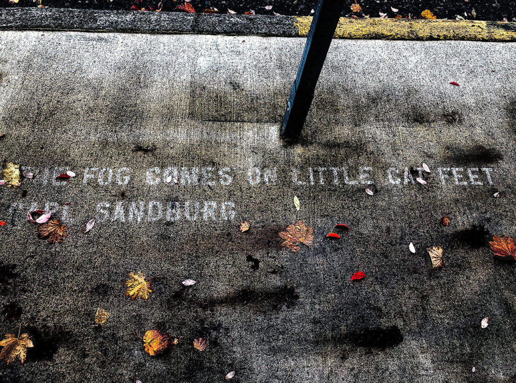 The end of DST marks the start of SAD | HeraldNet.com