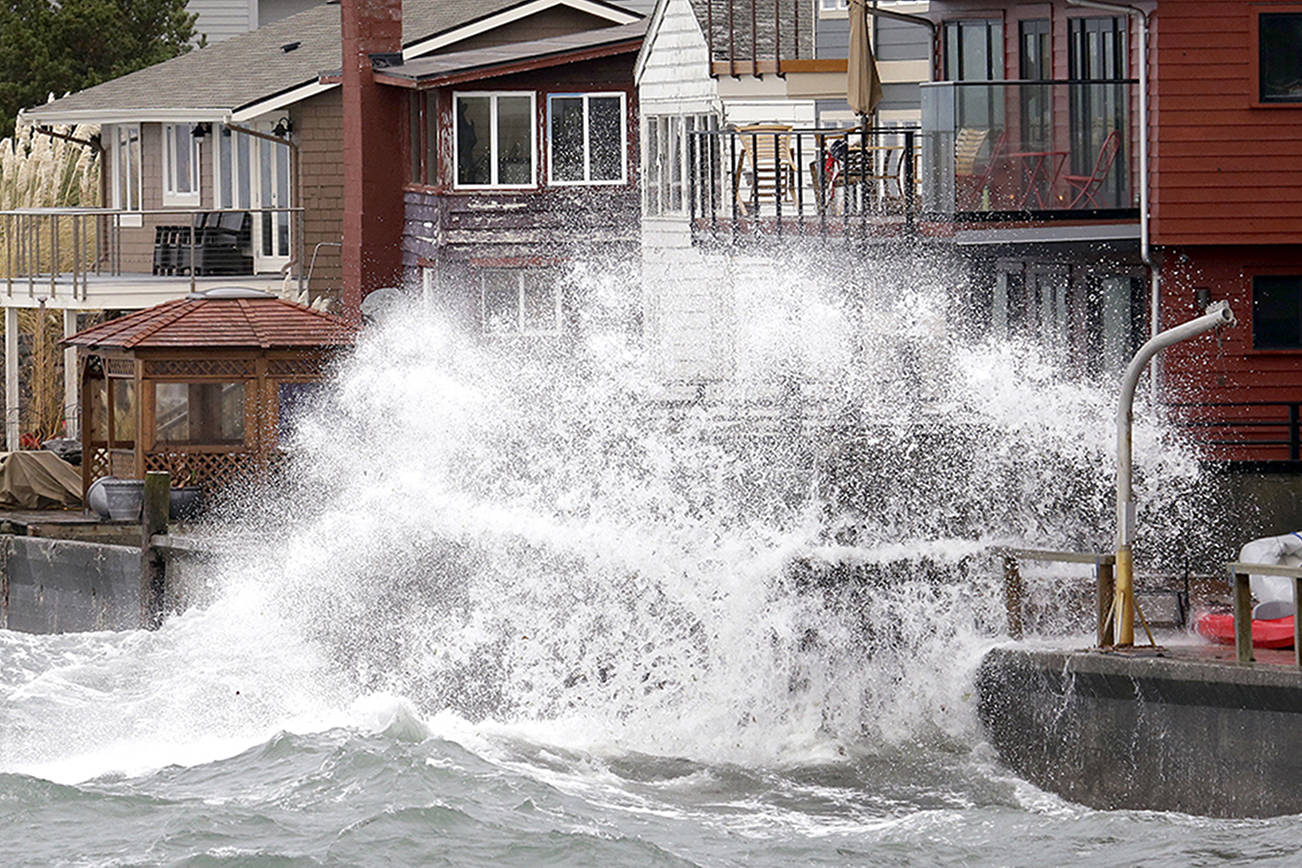 Falling trees kill 1, injure several during Washington storm ...
