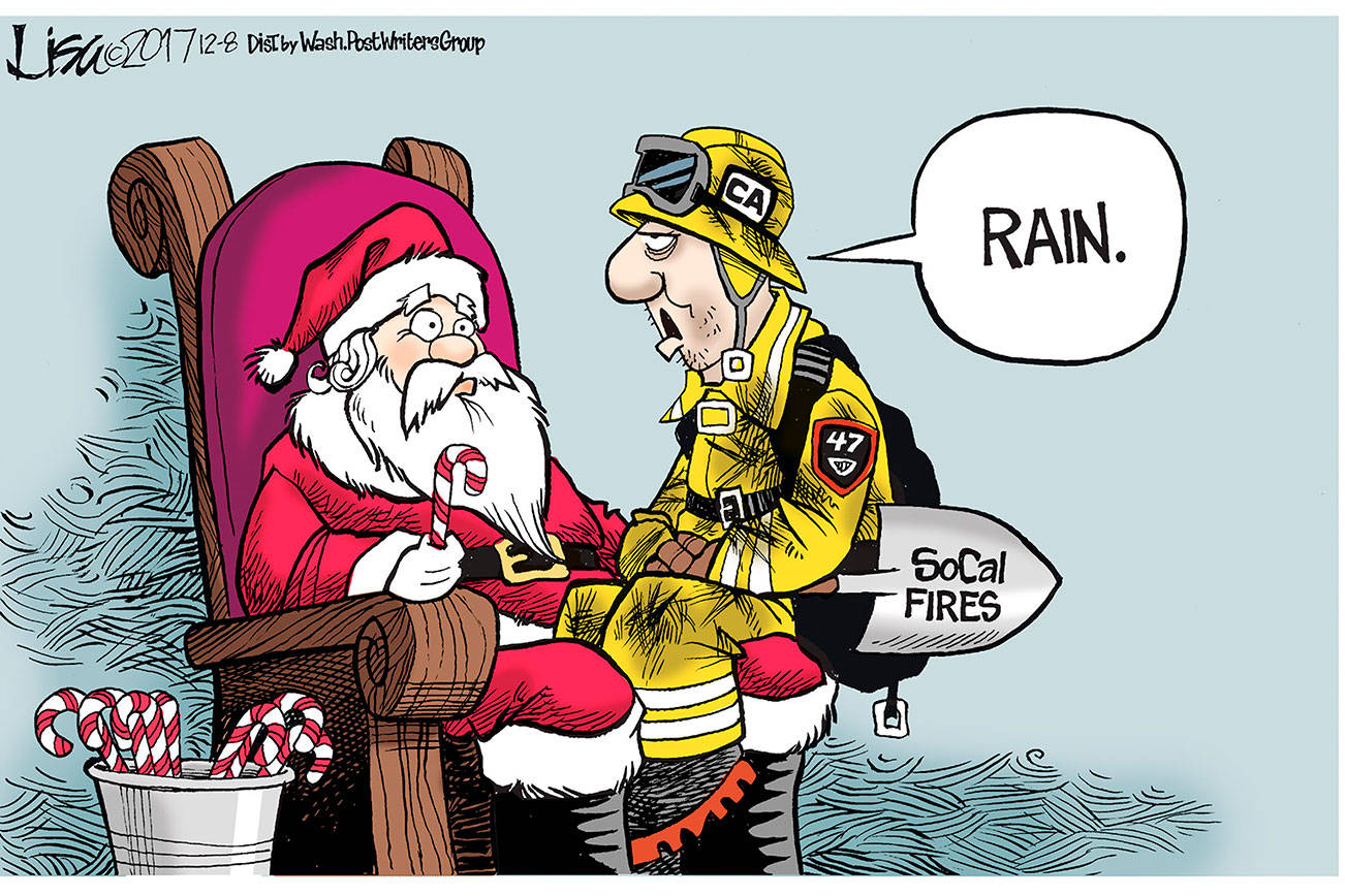 Editorial cartoons for Tuesday, Dec. 12 | HeraldNet.com