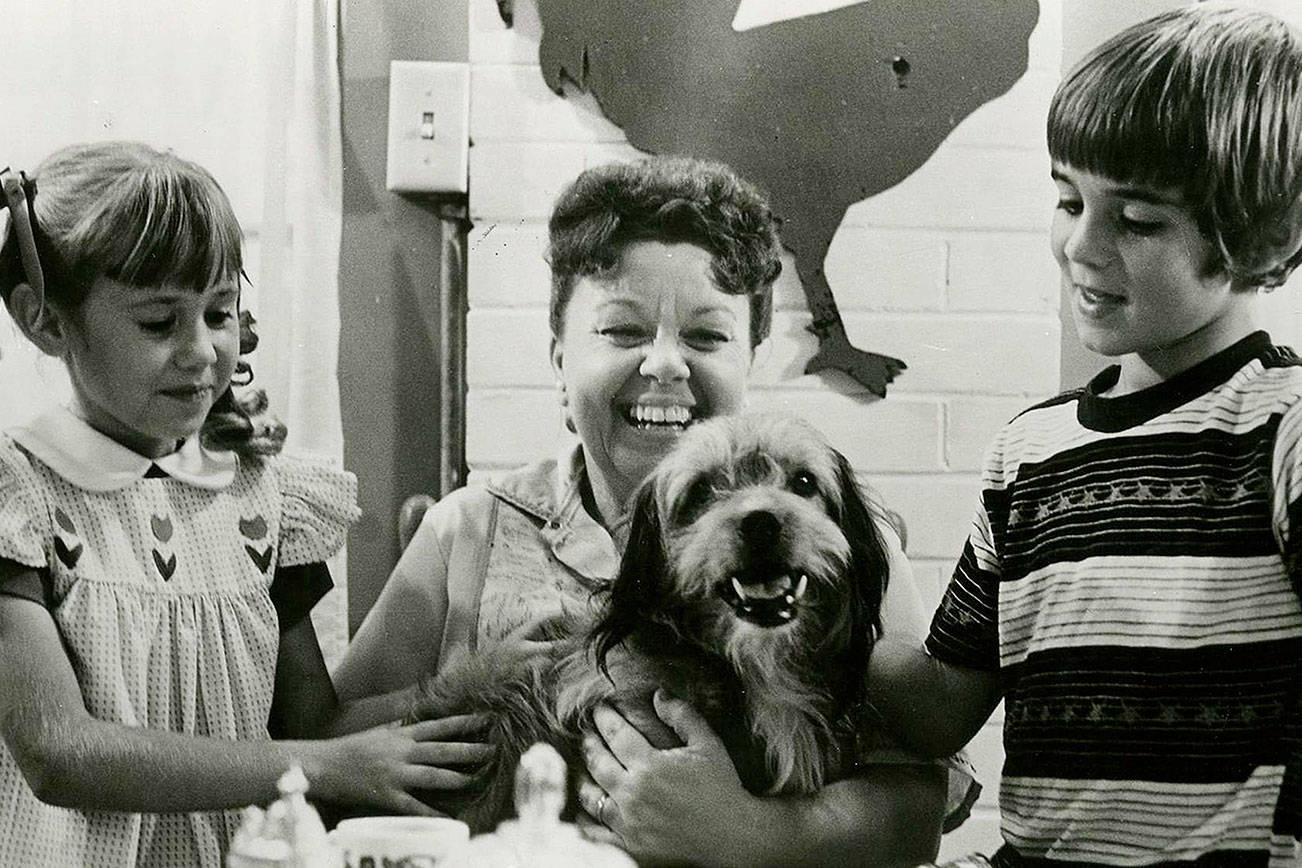 Canine movie star Benji is ready for his close-up on Netflix ...