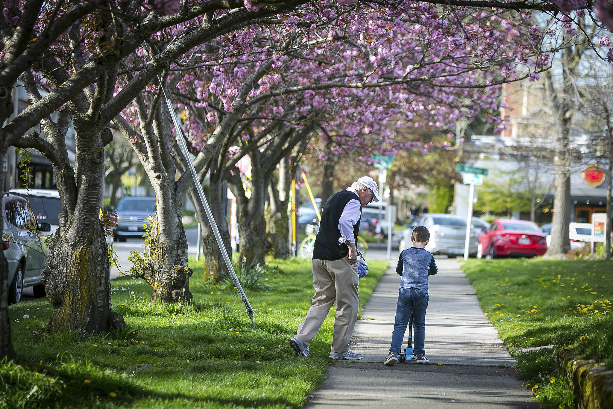 Throwing shade: How a lack of trees hurts Seattle minorities ...
