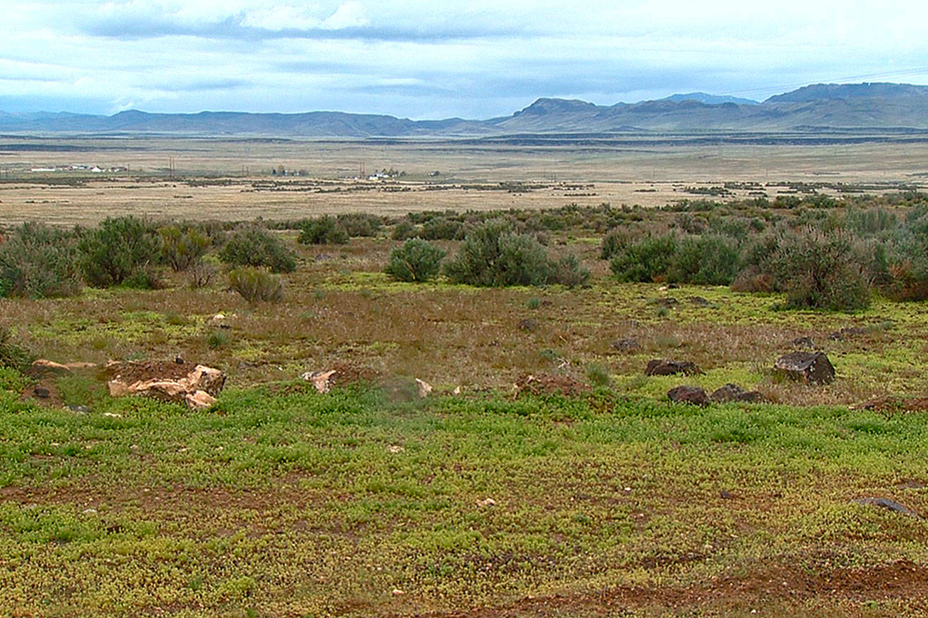500-year-old skeletons headed for Native American tribes | HeraldNet.com