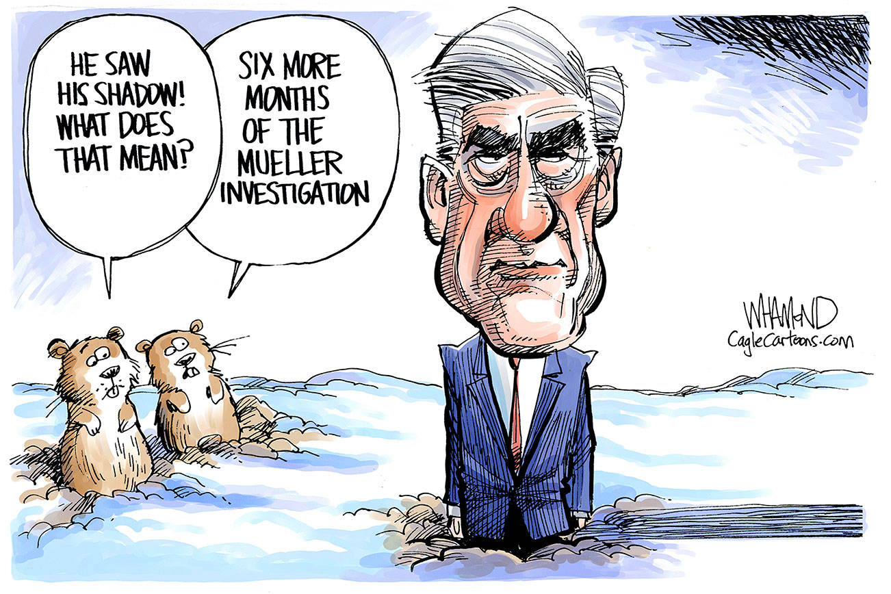 Editorial cartoons for Saturday, Feb. 2, Groundhog Day | HeraldNet.com