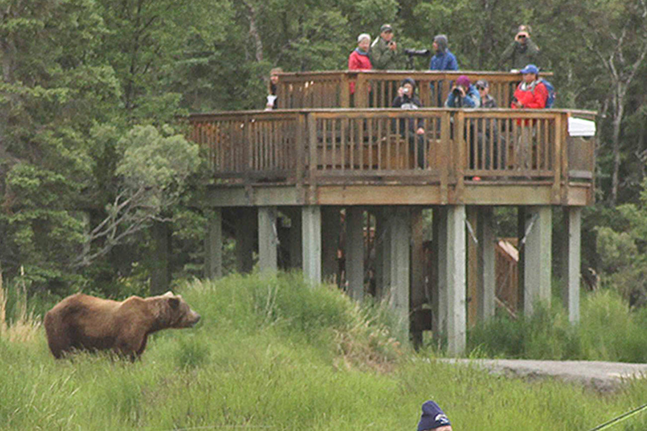 New Alaska park bridge aimed at limiting bear encounters | HeraldNet.com