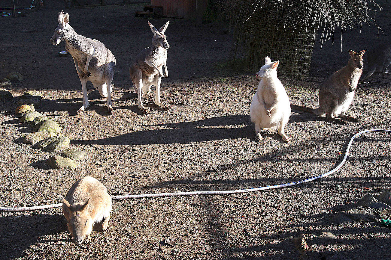 Family Fun calendar | HeraldNet.com