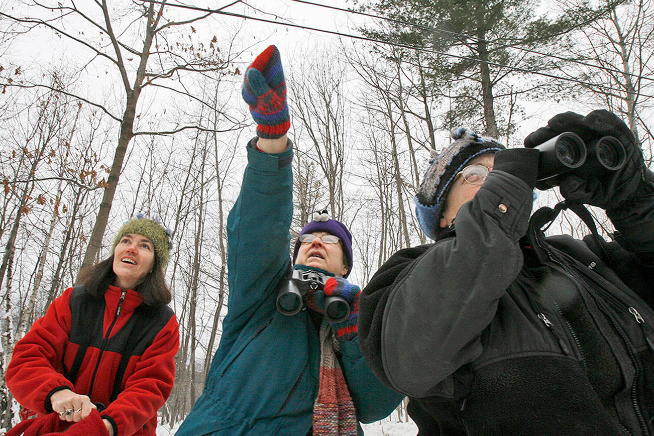 Audubon’s annual Christmas Bird Count stronger than ever | HeraldNet.com