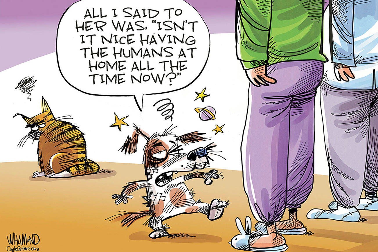 Editorial cartoons for Wednesday, May 6 | HeraldNet.com