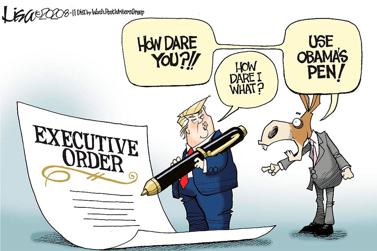 Editorial cartoons for Tuesday, Aug. 11 | HeraldNet.com