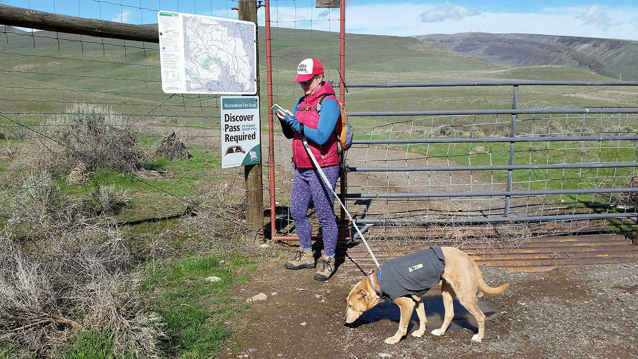 Before you hit the trail with Fido, train your hiker dog | HeraldNet.com