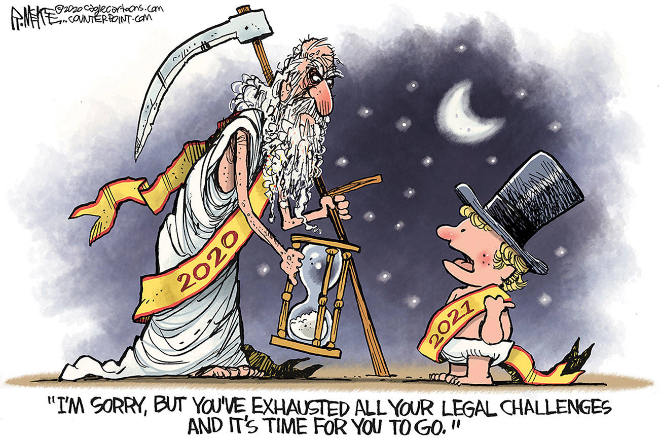 The best editorial cartoons of 2020: Volume 3 | HeraldNet.com