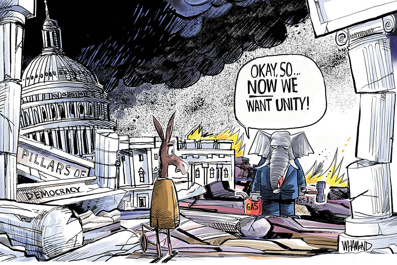 Editorial cartoons for Thursday, Jan. 28 | HeraldNet.com