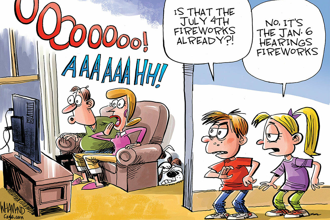 Editorial cartoons for Tuesday, June 7 | HeraldNet.com