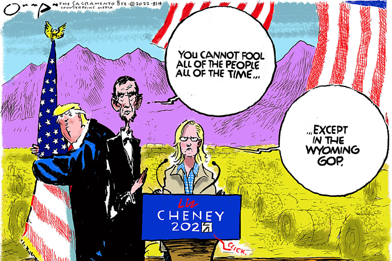 Editorial cartoons for Thursday, Aug. 18 | HeraldNet.com