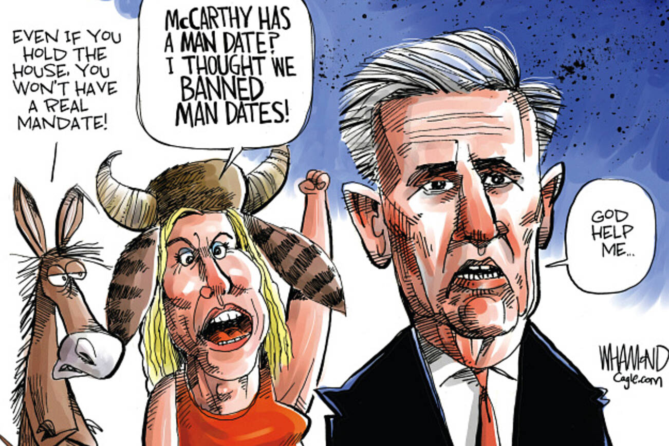 Editorial cartoons for Sunday, Nov. 13 | HeraldNet.com