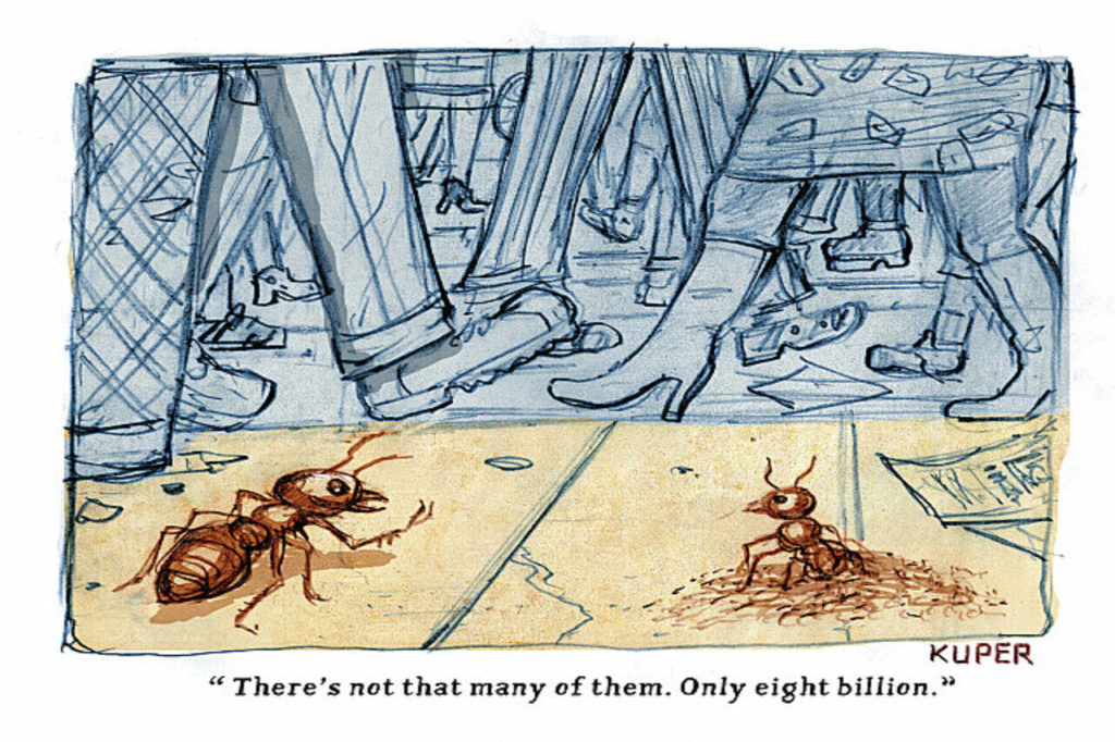 Editorial cartoons for Saturday, Nov. 19 | HeraldNet.com