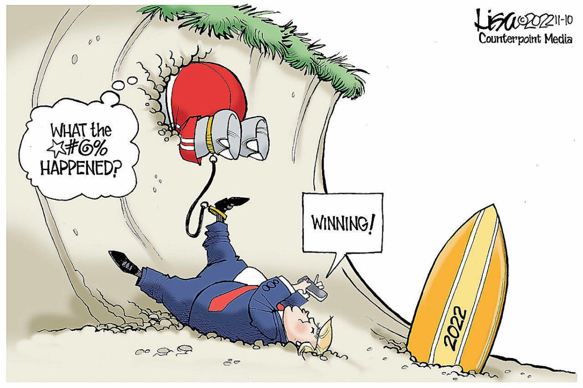 The Best Editorial Cartoons of 2022, Volume IV | HeraldNet.com