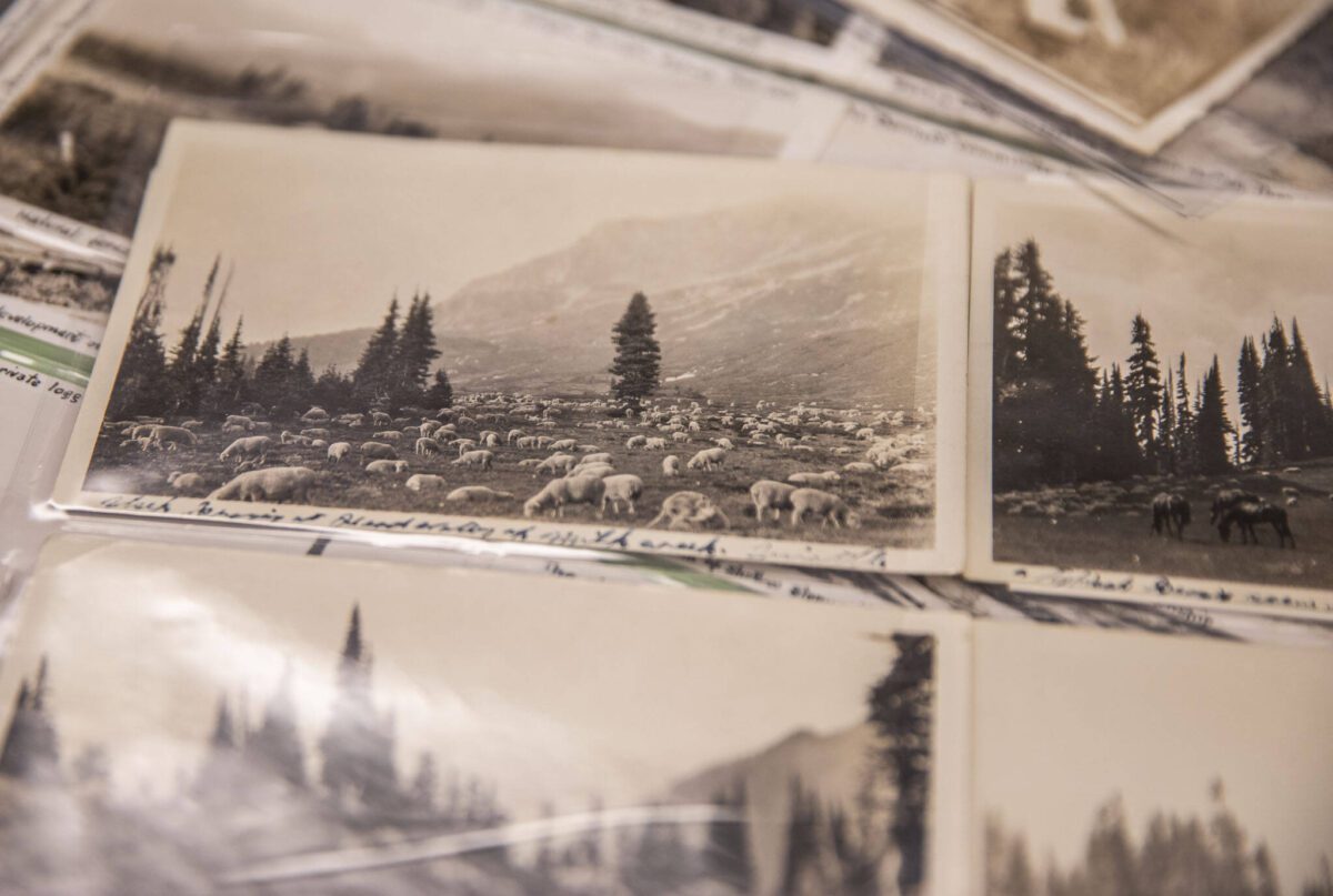 Panning for local history gold at Darrington Ranger Station | HeraldNet.com