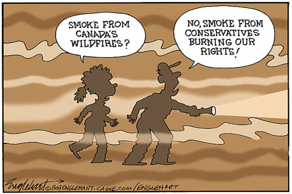 Editorial cartoons for Sunday, July 16 | HeraldNet.com