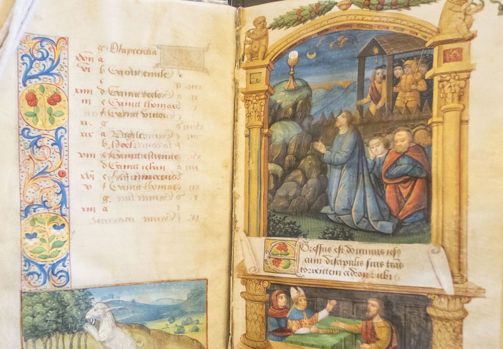 Digital technology makes rare medieval manuscripts available to all ...
