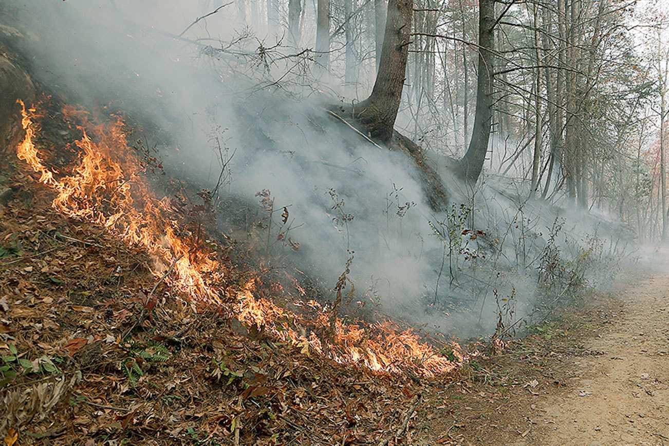 Many outdoor activities banned as fires burn across South | HeraldNet.com