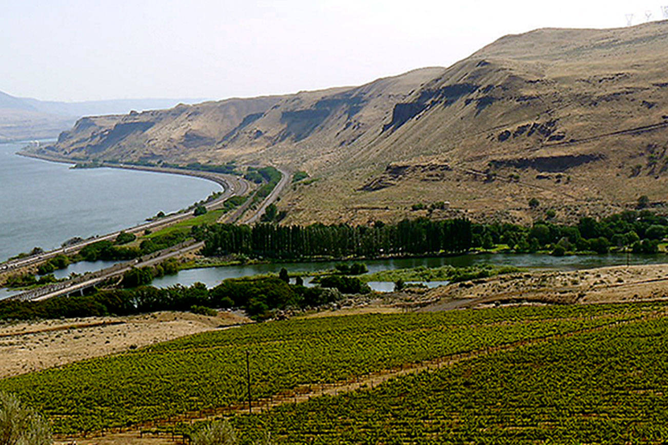 Syrah plays key role in Northwest red blends | HeraldNet.com