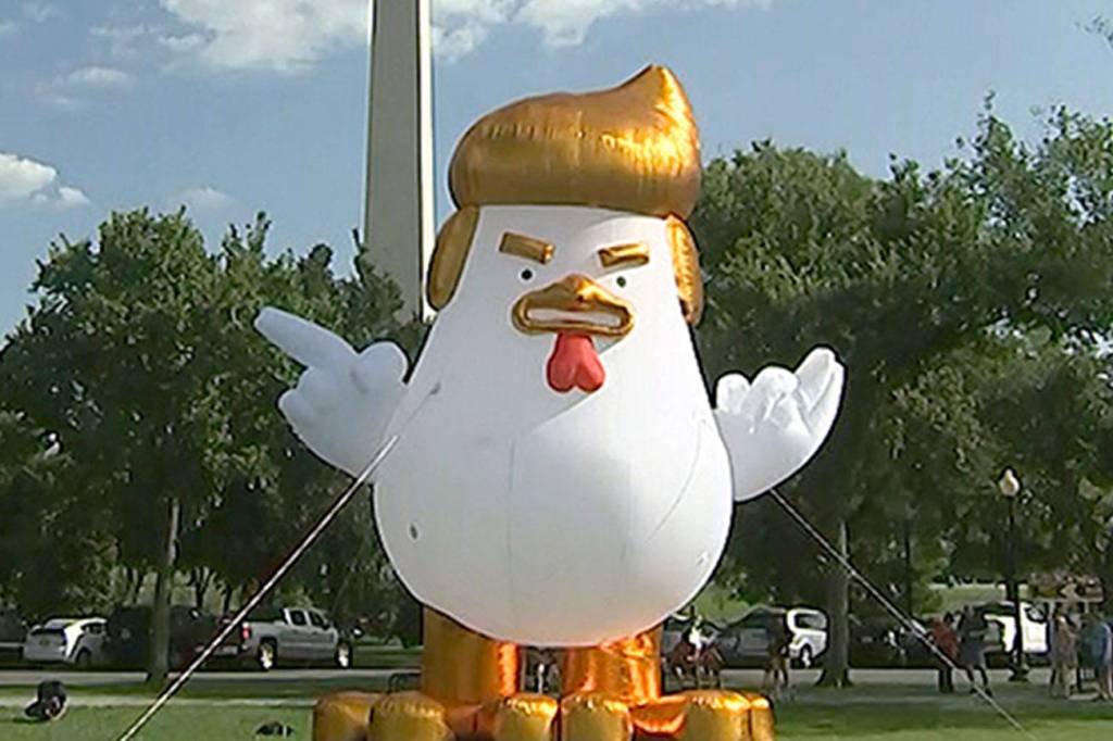 Inflatable Trump chicken takes roost outside White House | HeraldNet.com