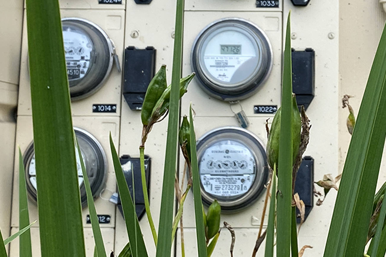 Snohomish County PUD embraces ‘smart’ meters despite concerns ...