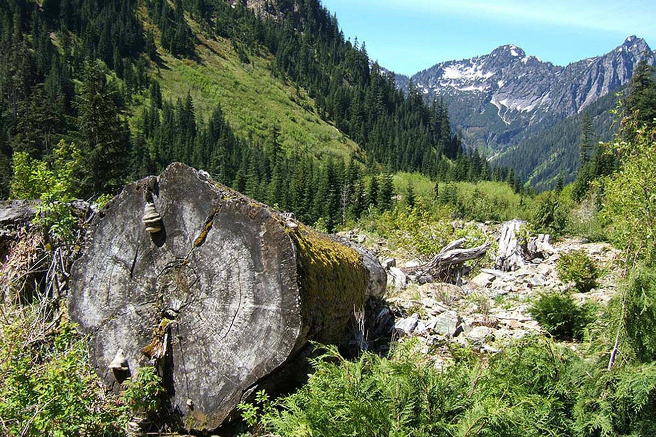 Wild Sky Wilderness grows 345 acres, as transfer chips at private land ...