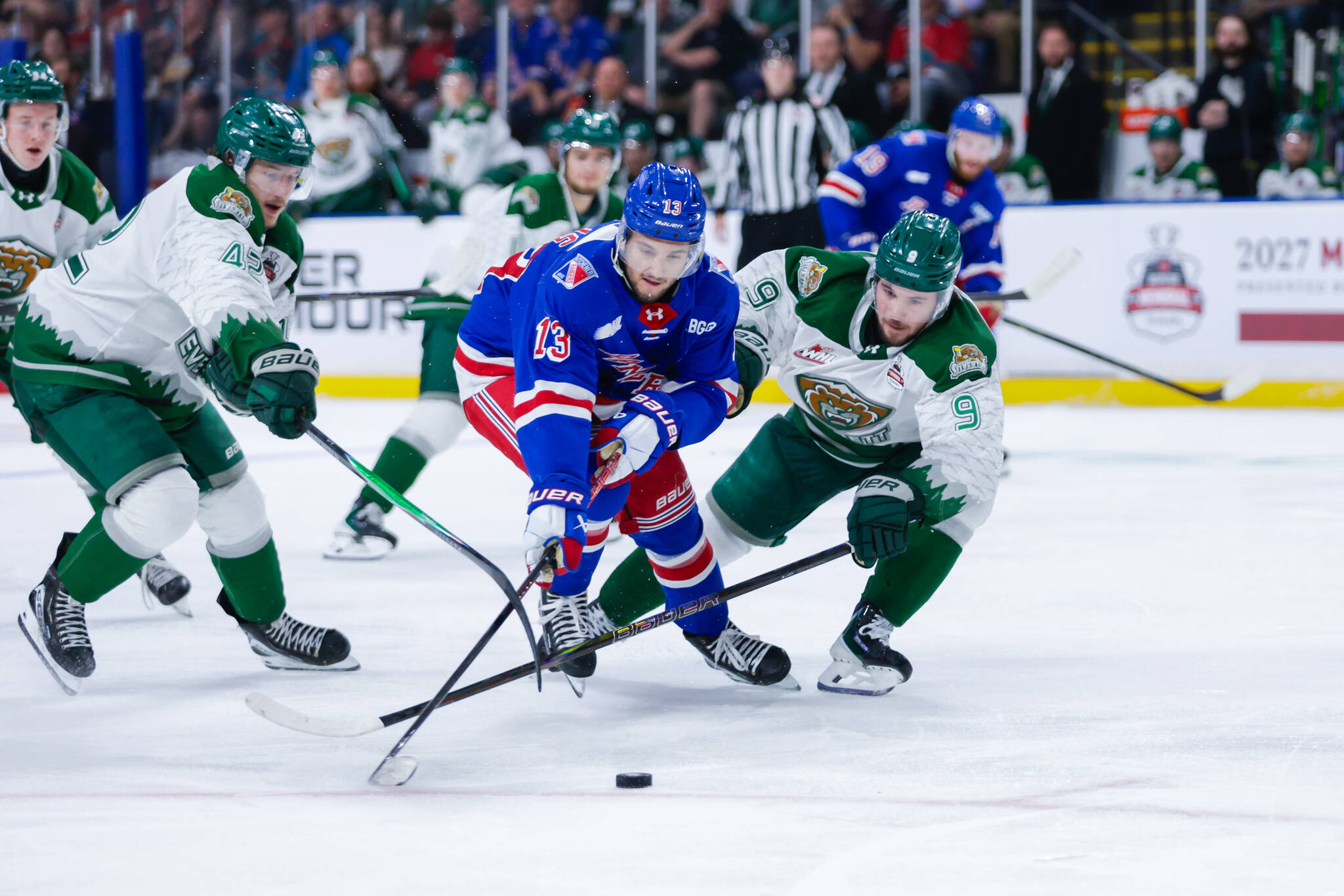 Humbled Silvertips anticipate bounce-back in Memorial Cup | HeraldNet.com