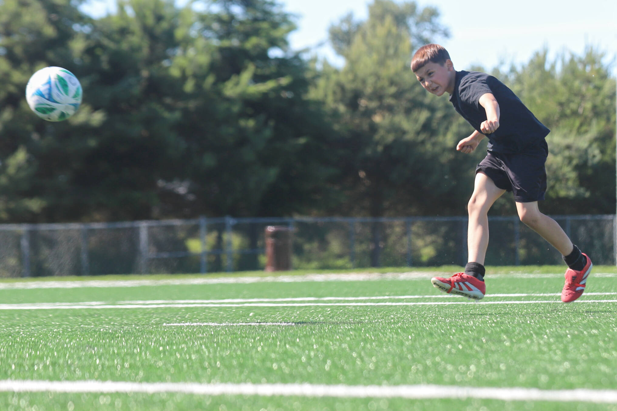 Strawberry Fields receives new forever field in Marysville | HeraldNet.com